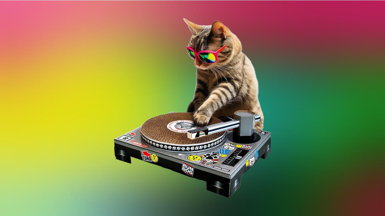 Cat Scratch: the first scratching post for audiophile cats - Son-Vidéo ...